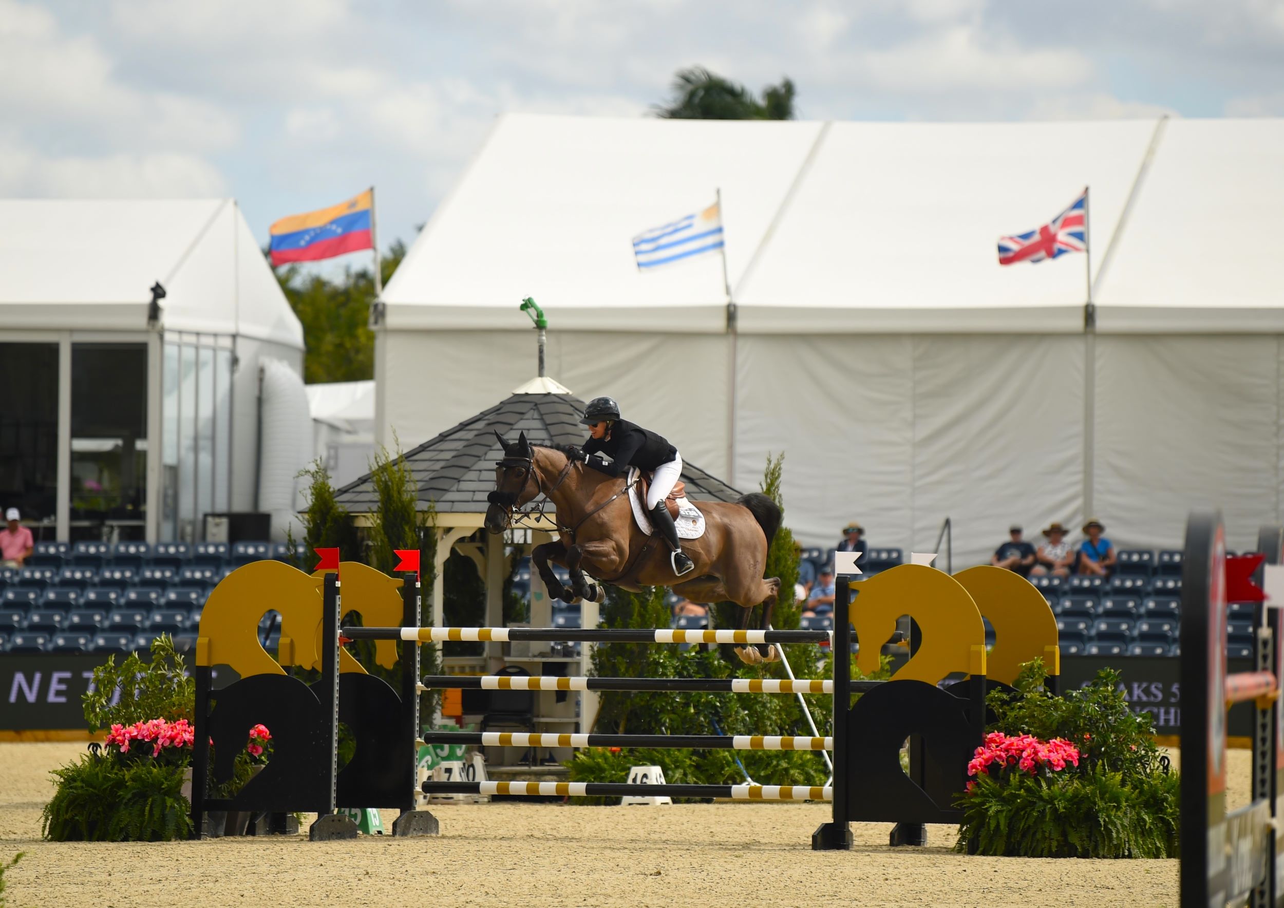 Canada's ladies steal the limelight - Paper Horse Media