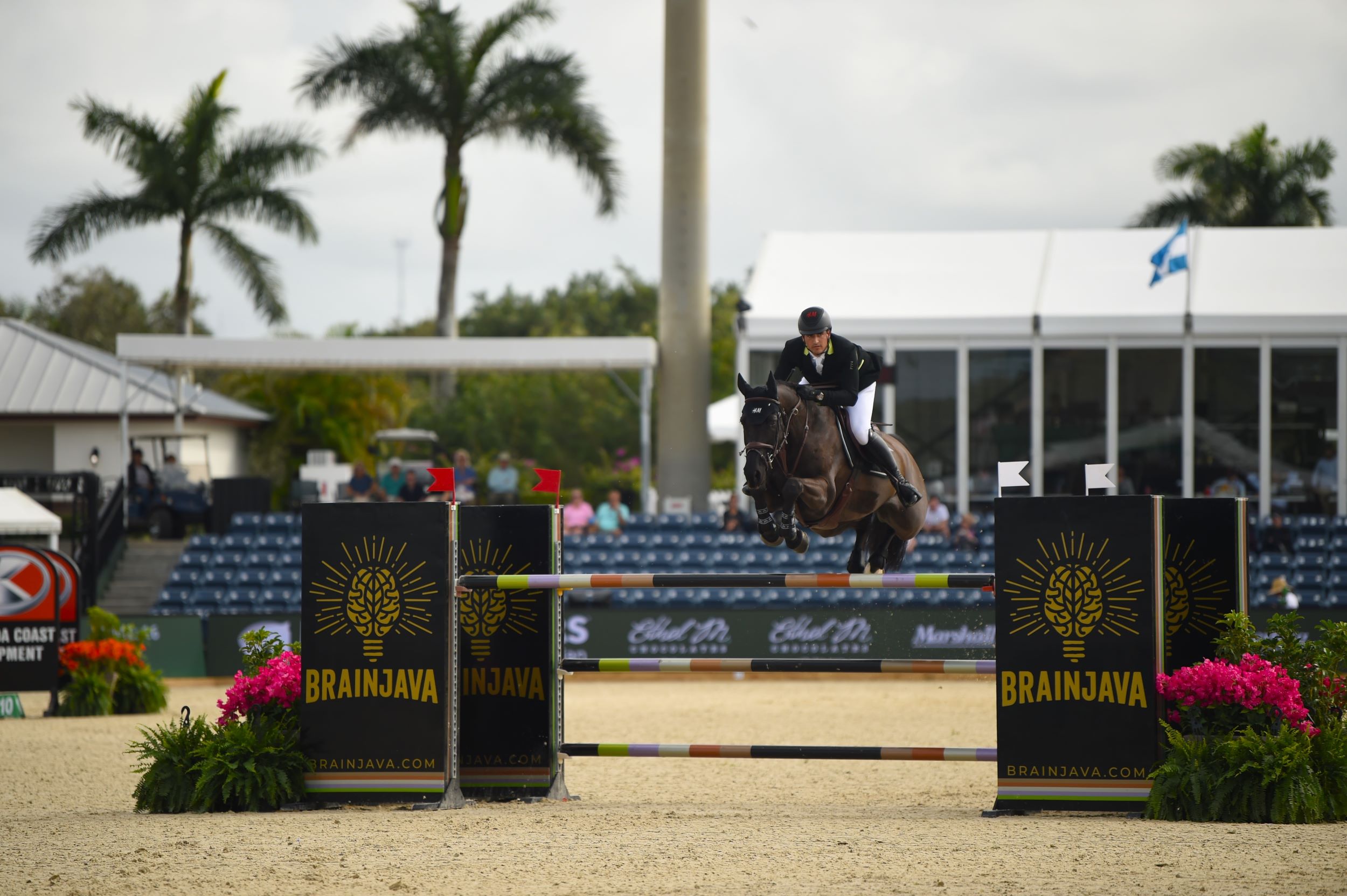 Nicola Philippaerts takes WEF Challenge Cup win to start Olympic year ...