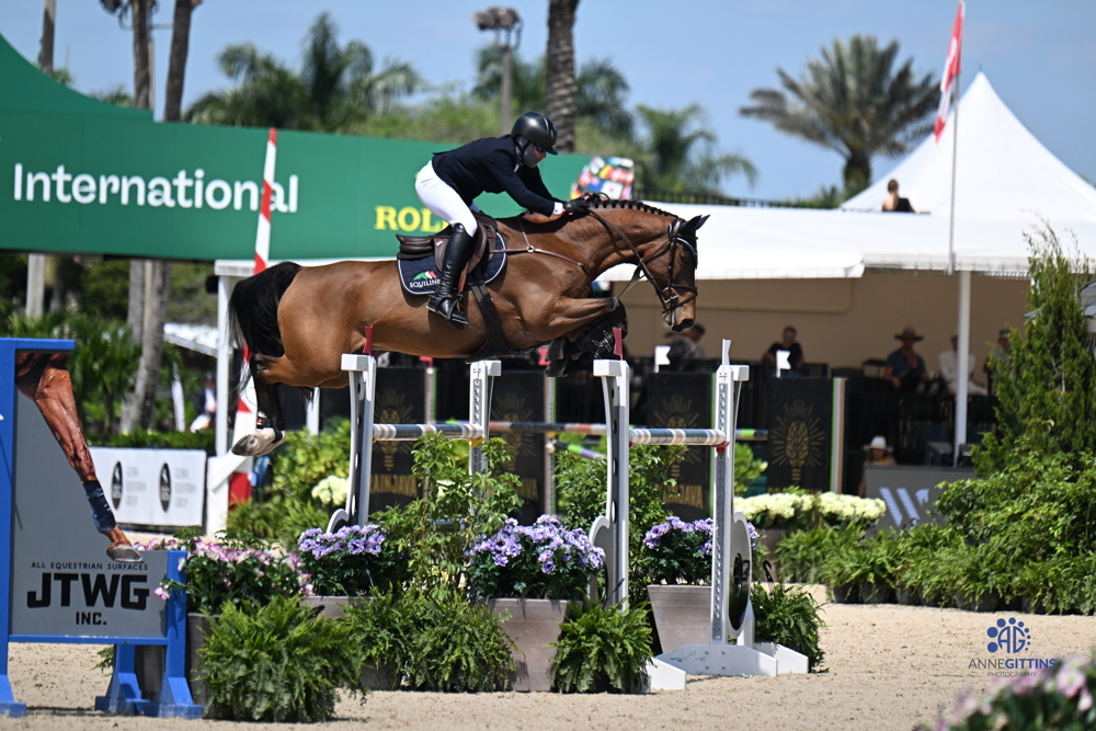 Conor Swail brings winning ways from the West to WEF - Paper Horse Media