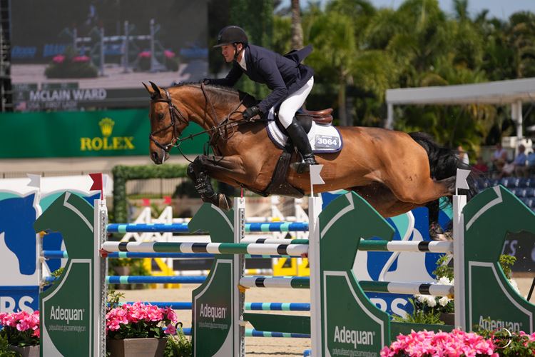Persistence pays off with a WEF win for McLain Ward - Paper Horse Media